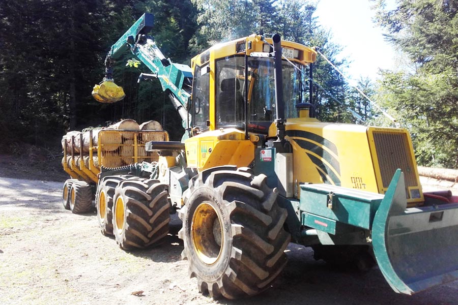 Harvester Rückezug - Forstunternehmen Tritschler Hinterzarten Schwarzwald